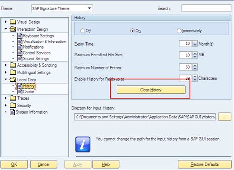 An SAP Consultant Clear SAP GUI Input History