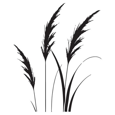 Ornamental Grass Silhouette Illustration Design Art 55566449 Vector Art
