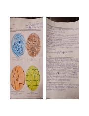 Lab 5 Pdf Course Hero