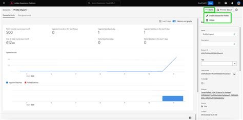 datasets ui guide adobe experience platform