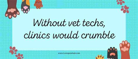 660 Inspirational Vet Quotes That Capture The Spirit Of Veterinary