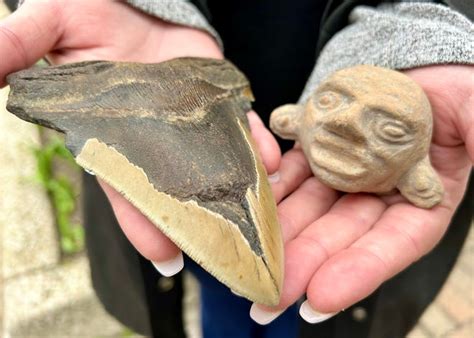 This Local Business Hunts Up Fossils Artifacts For Worldwide Customers