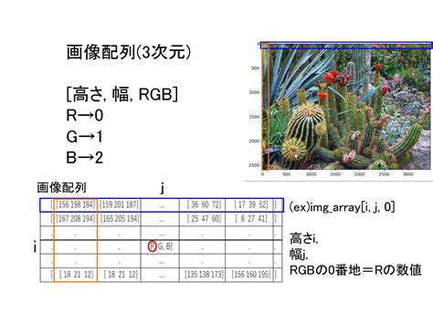 Pythonで画像処理 画像配列とrgbを理解しよう！