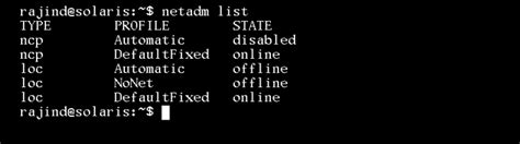 Virtualbox How To Configure Internet Access In Oracle Solaris 10