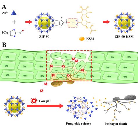 Figure 1 From Zeolitic Imidazole Framework 90 Based Pesticide Smart Delivery System With