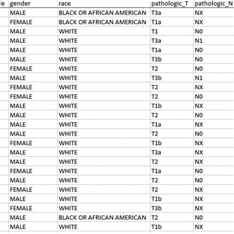 3 A Sample Of The Tcga Kich Dataset Subject Id Tcga Km 8476 The Download Scientific