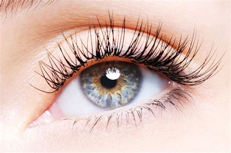 eye blinking causes diagnosis and effective treatments