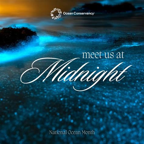 Heather Doggett On Linkedin Conservation Experiencedesign