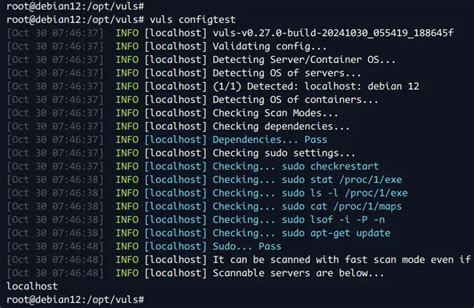how to install and use vuls vulnerability scanner on debian 12
