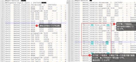 tbtools 实用教程 贴心 gxf fix 修复 优化基因结构注释信息文件 gtf gff3 《tbtools
