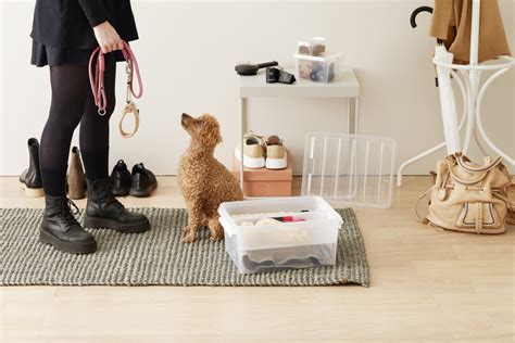 Smartstore™ Classic 03 L Storage Box With Lid