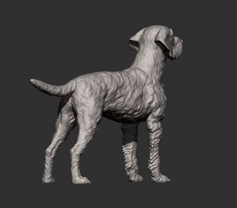 3d File German Wirehaired Pointers 3d Print Model・3d Printer Model To Download・cults