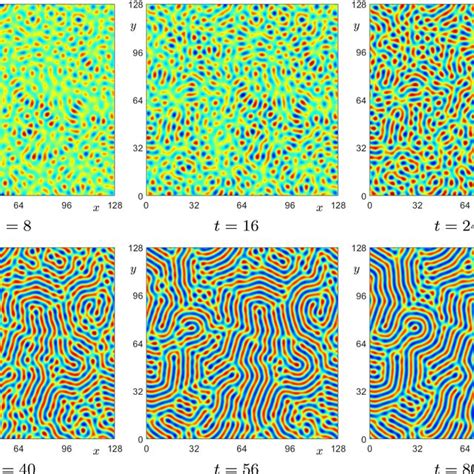 Temporal Evolution Of Striped Pattern Download Scientific Diagram