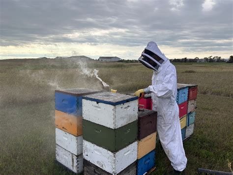 Diamond Willow Ministries Diamond Willow Ministries