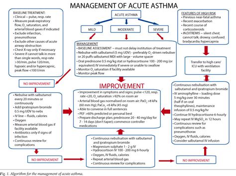 Guideline For The Management Of Acute Asthma In Adults 2013 Update