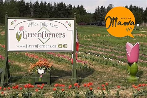 A Quick And Comprehensive Guide To Ottawas Green Corners Farm [2026 ]