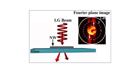 Optical Orbital Angular Momentum Read Out Using A Self Assembled Plasmonic Nanowire Acs Photonics