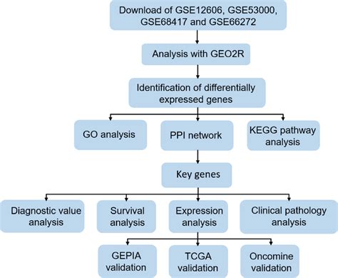 flow chart of data collection processing analysis and verification in