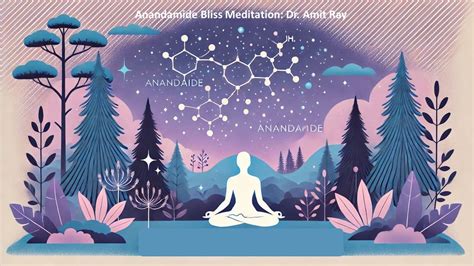 Anandamide Bliss Meditation The Science And Spirituality Of The Bliss