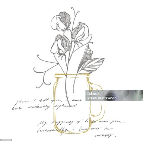 달콤한 완두콩 꽃 그리기 및 흰색 배경에 라인 아트와 스케치 달콤한 완두콩의 꽃꽃 패턴 직물 종이 엽서용 우아한 템플릿 0명에 대한 스톡 벡터 아트 및 기타 이미지 Istock