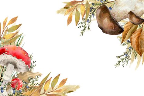 식물 가을 숲 배너 템플릿 빨간색과 갈색 버섯 화려한 잎과 주니퍼 가지 수채화 그림 손으로 그린 꽃 프레임 카드 포스터 디자인을위한 수확 시즌 클립 아트 가을에 대한 스톡