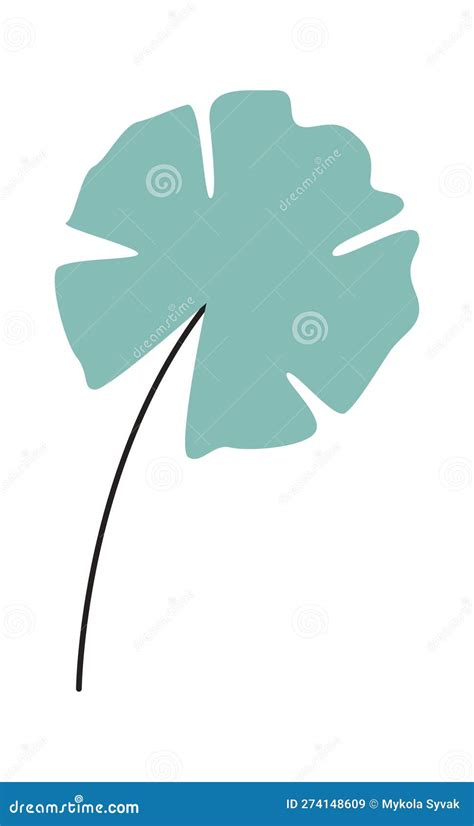 Leaf On Stem Stock Vector Illustration Of White Isolated 274148609