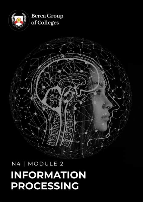 Information Processing N4 Module 2 By E Publishing Flipsnack