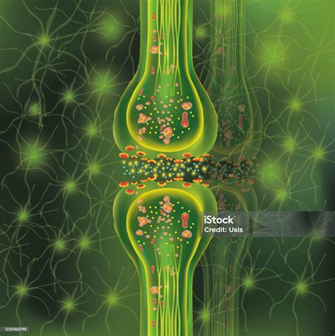 시 냅 스와 신경 세포 살아있는 유기체에서 충동의 전송 신호 뉴런의 통신 뇌의 신호 개념 리어링 3d 일러스트레이션 3차원 형태에 대한 스톡 벡터 아트 및 기타 이미지
