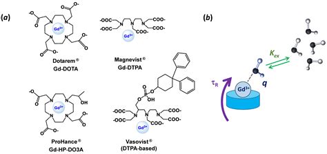Gadolinium Contrast Agents