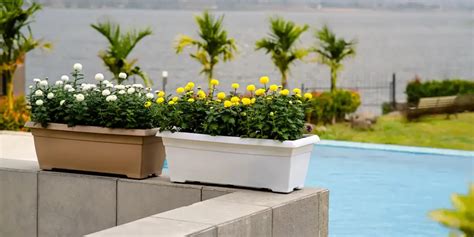 Guide To Outdoor Rectangle Plant Pots Styling And Benefits