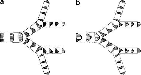 A B Mainstream Flow Vectors At Re 1000 In The Bifurcation Plane A Download Scientific