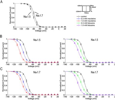 A Hyperpolarizing Shift Of Steady State Fast Inactivation Of Nav15 And Download Scientific