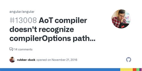 Aot Compiler Doesnt Recognize Compileroptions Paths From Tsconfig