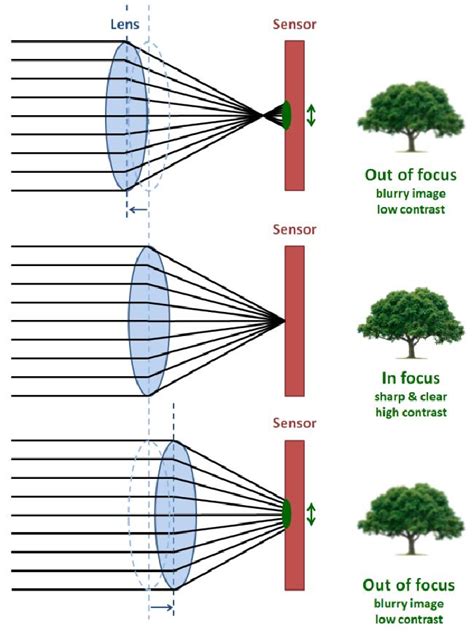 How Does Autofocus Work On Your Smartphone Fgaff
