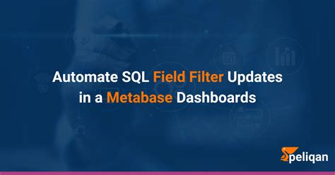 Metabase Field Filter Sql Peliqan