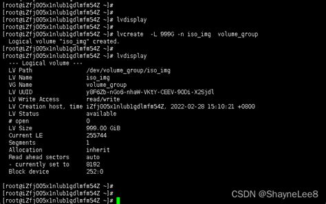 【linux 使用 Lvm 挂载磁盘】linux挂在1000g磁盘 Csdn博客 【linux 使用 Lvm 挂载磁盘】linux挂在1000g磁盘 Csdn博客