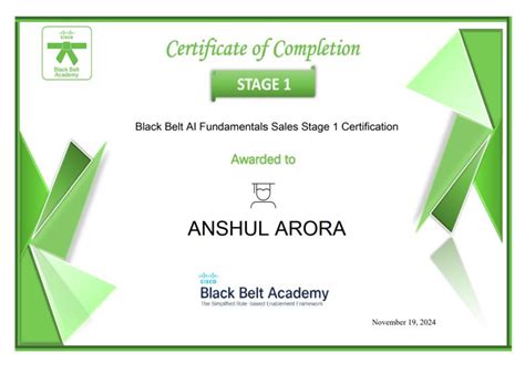 Anshul Arora On Linkedin Artificialintelligence Ai Learningjourney Aiblackbelt Innovation