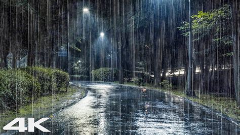 비오는 밤에 폭우 빗소리 Asmr과 함께 스트레스를 해소 불면증을 위한 편안한 백색소음 숙면에 좋은 아름다운 힐링 비오는소리 Youtube