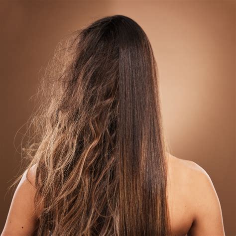 How To Repair Damaged Hair 10 Expert Tips To Try In 2025