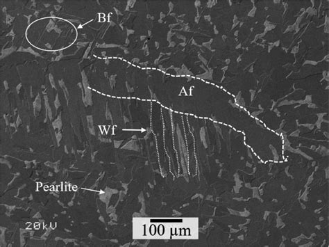 Bainitic Ferrite Bf Allotriomorphic Ferrite Af Widmanstätten