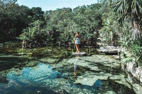 Cenote Azul Un Espectacular Escape Al Natural Viva Playa