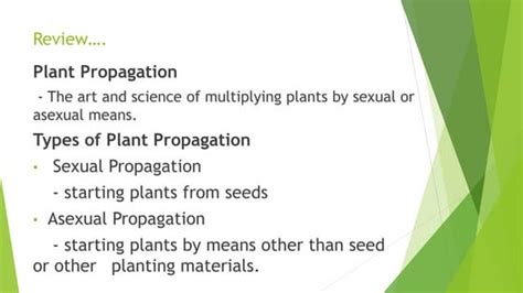 Types Of Budding Ppt