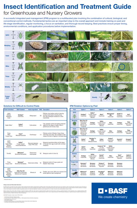 Insect Identification Methods At Katherine Grayson Blog