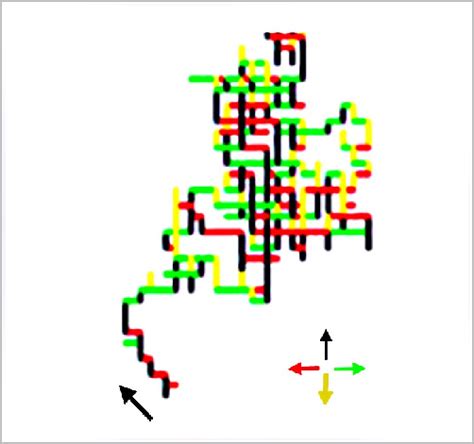 Unbiased Random Walk Through A Planar Std At Each Location The Causal