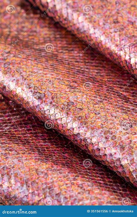 Genuine Python Snakeskin Leather Snake Skin Texture Background Swimming Pool On A Background