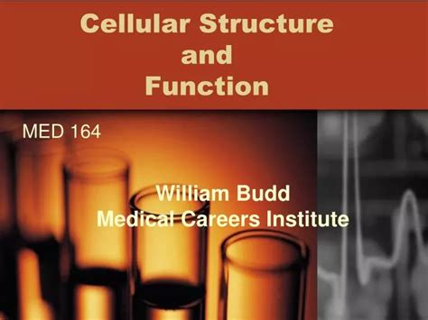 PPT Cellular Structure And Function PowerPoint Presentation Free Download ID 1985139