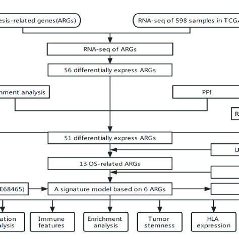 Data Gathering And Processing Flowchart Download Scientific Diagram