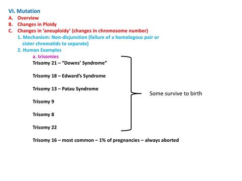 Dont Worry Just A Photoshop Award Winner Ppt Download