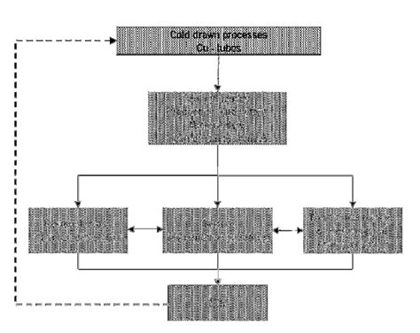Flow Chart Of The Activities Done And Interdependencies In The Program