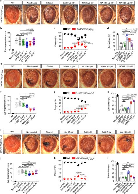 5 Lox Inhibitors Rescue The Phenotype Of Drosophila Model A B E F I J Download Scientific